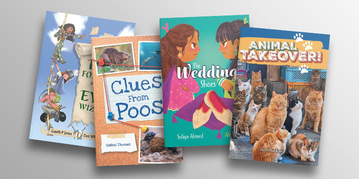 Big Cat Books for Little Wandle Fluency Level 9 | Build Confident ...