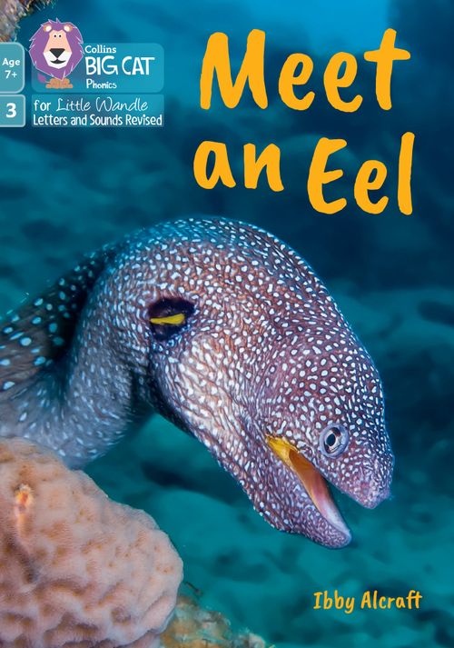 Meet an Eel by Ibby Alcraft – Collins