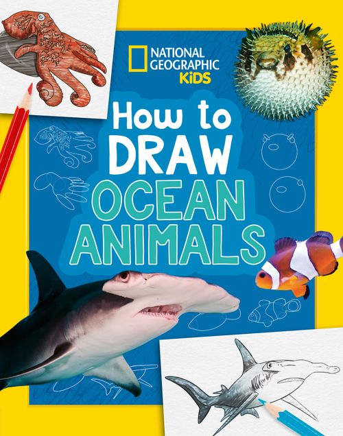 How to Draw Ocean Animals by – Collins