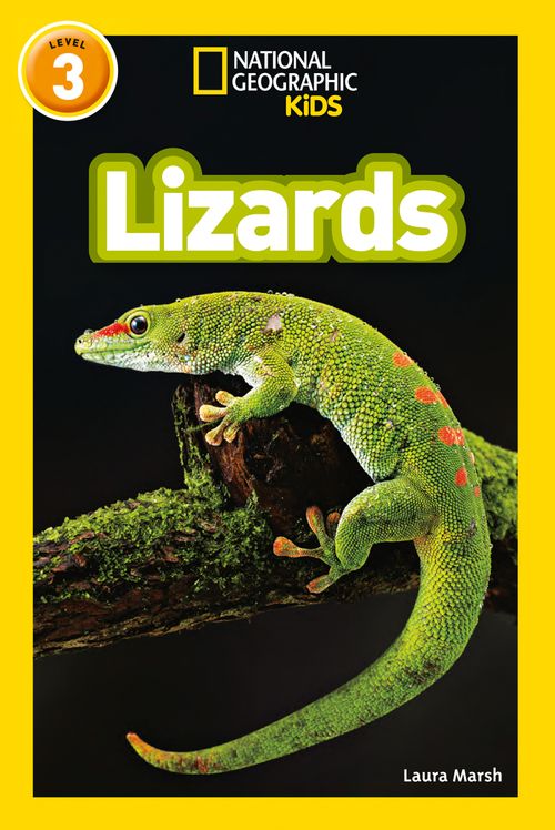 Lizards: Level 3 by Laura Marsh – Collins