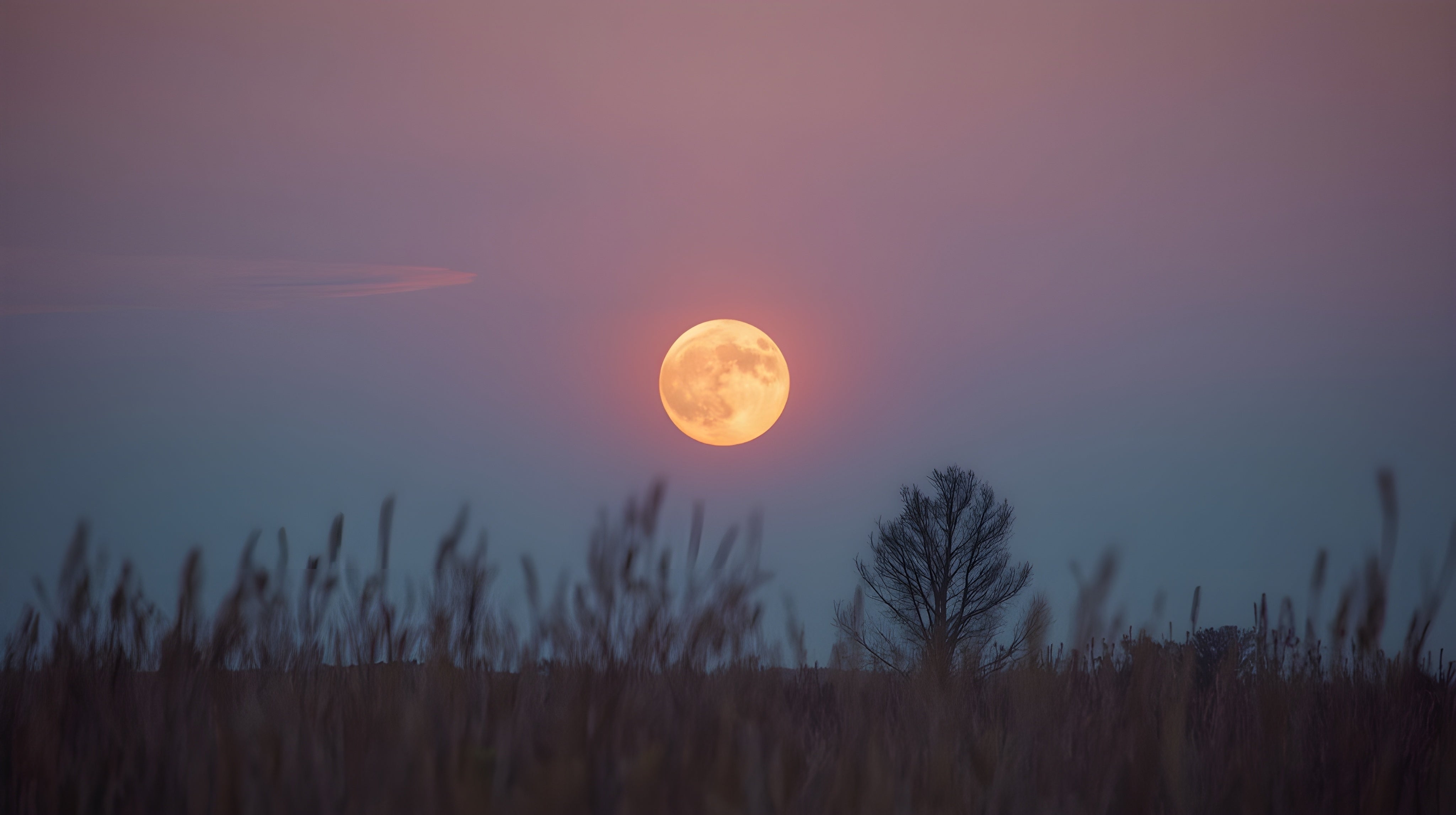 May 2026 - the month of two Full Moons – Collins