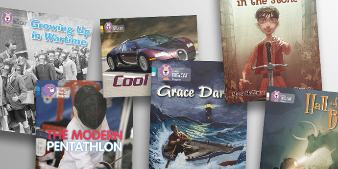 Collins Big Cat Reading & Phonics Progress | Primary Learning