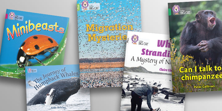 Reading & Phonics | Collins Big Cat- Nature, Conservation and ...