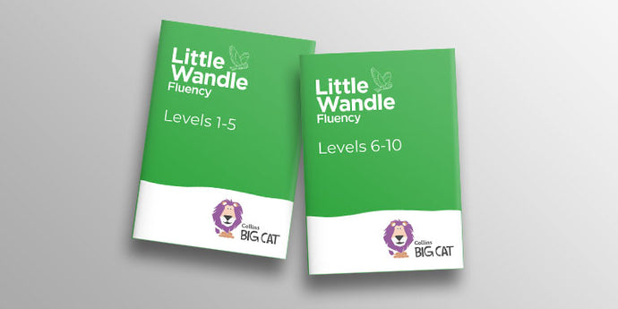 Big Cat For Little Wandle Fluency Book Sets | Collins Big Cat