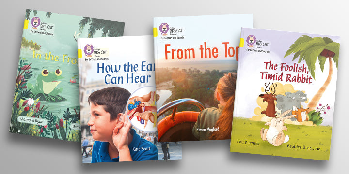 Yellow Band Books | Collins Big Cat Reading Level 3