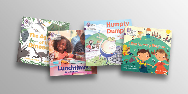 Foundations for Phonics Books | Big Cat for Little Wandle Letters and ...