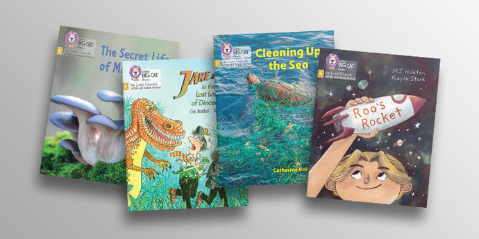 Big Cat Books for Little Wandle Letter and Sounds Phase 5 | Collins ...