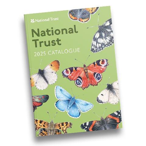 Browse Collins Catalogues | Explore Collins Books & Resources