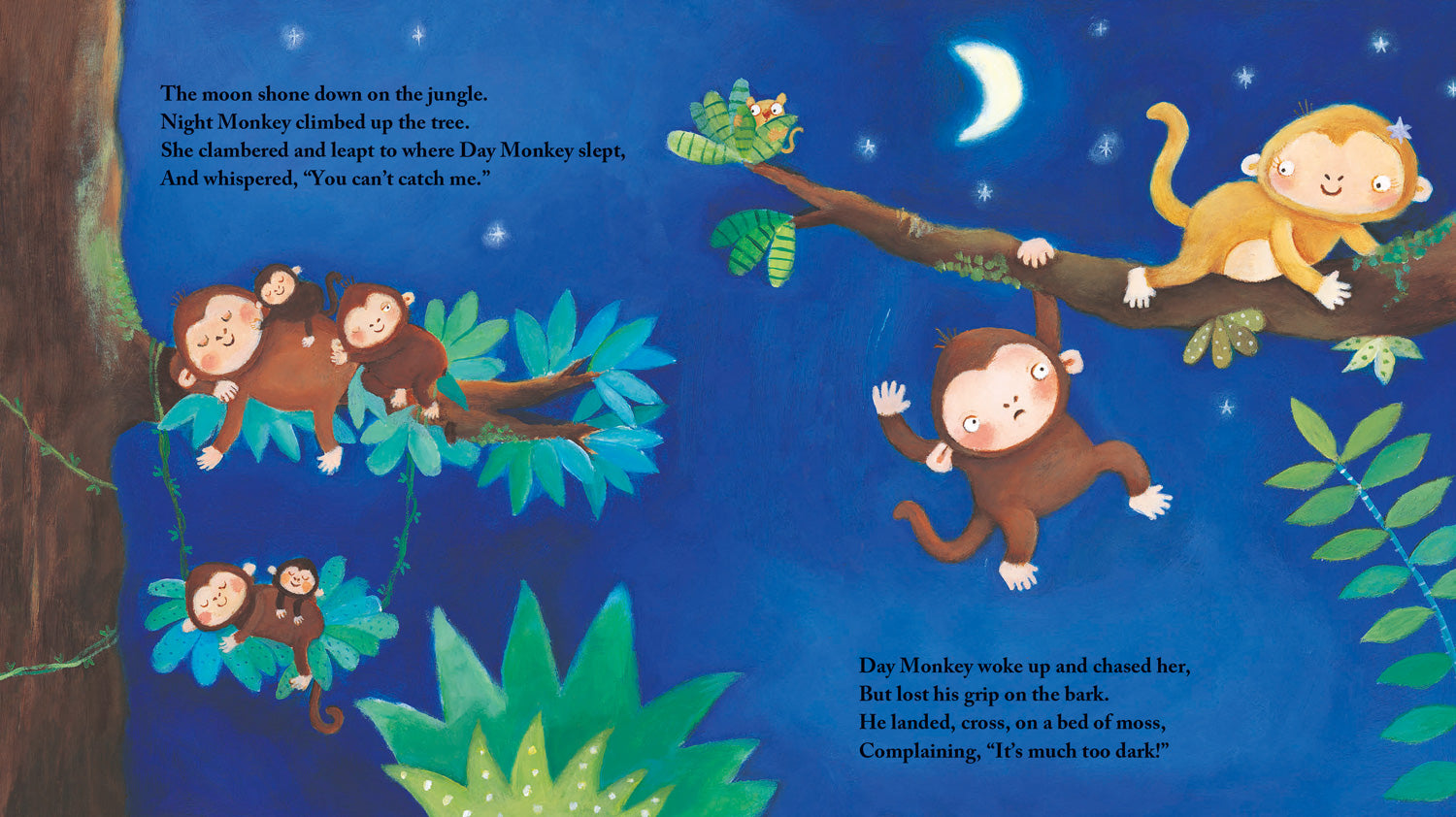 Night Monkey, Day Monkey by Julia Donaldson – Collins