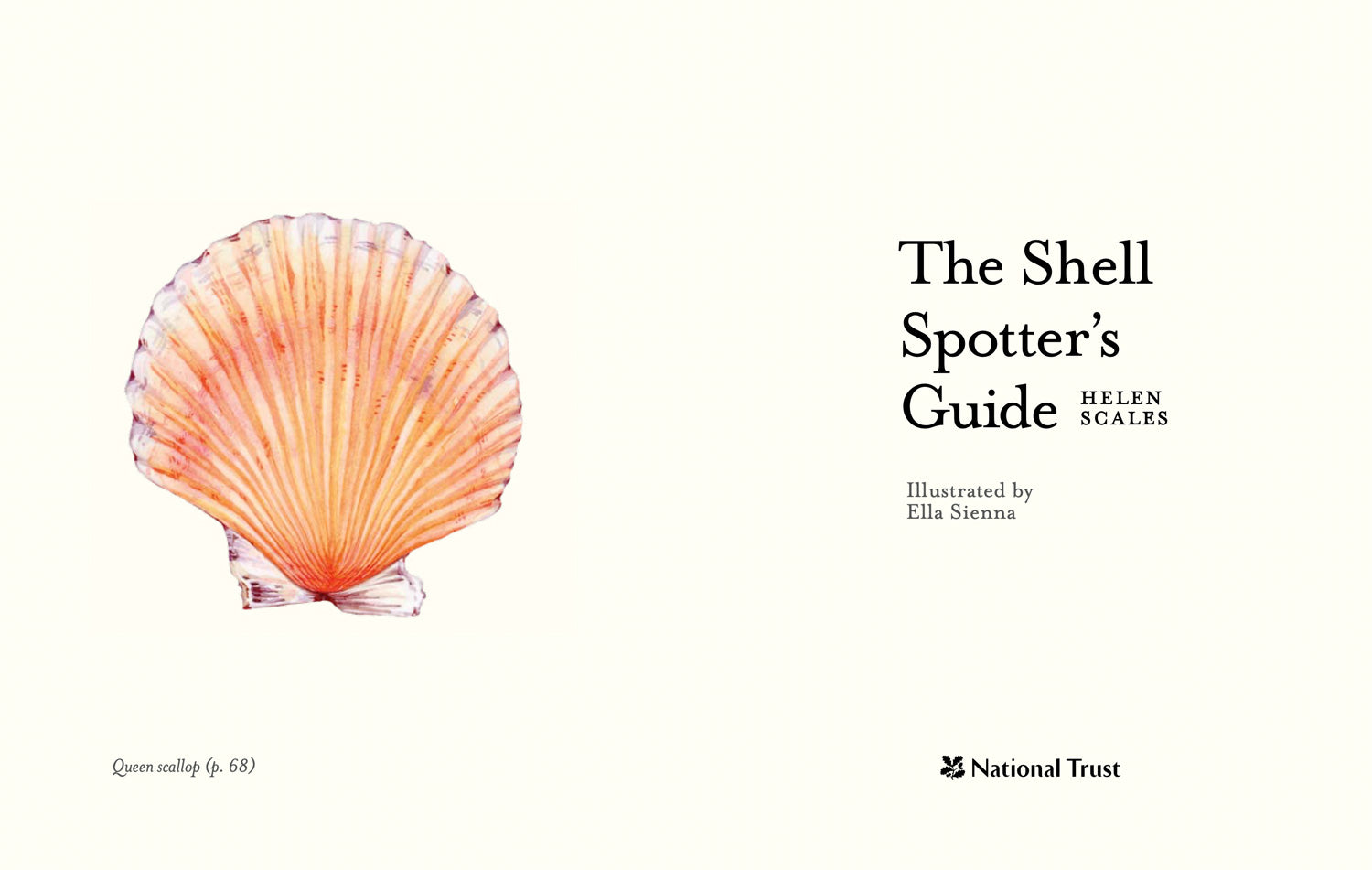 The Shell Spotter’s Guide (National Trust) by Helen Scales – Collins