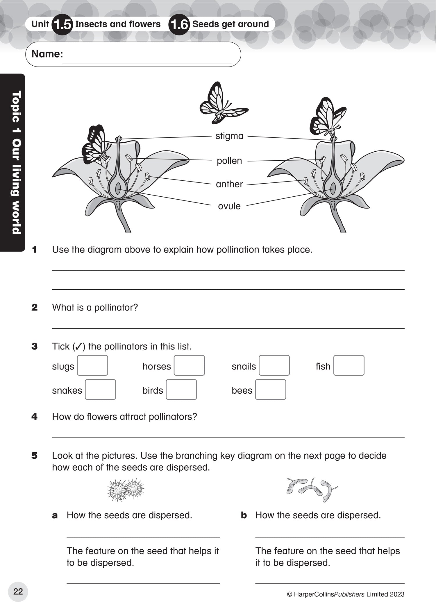 International Primary Science Progress Book Teacher Pack: Stage 5 by ...