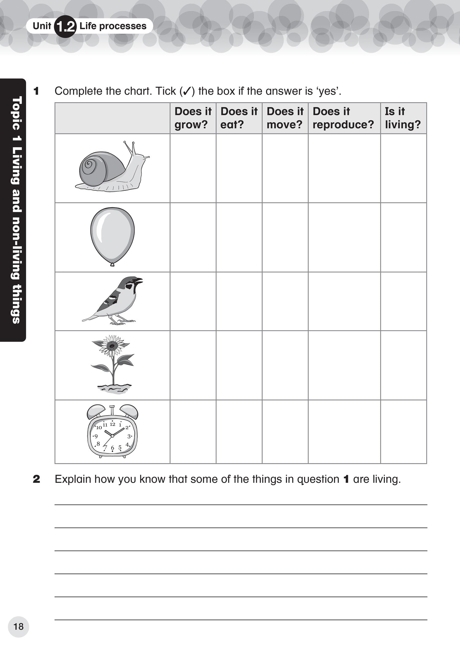 International Primary Science Progress Book Studentu2019s Book: Stage 3 ...