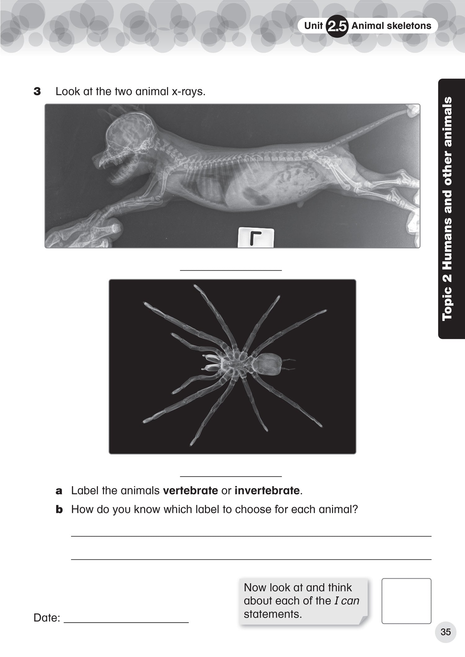 International Primary Science Progress Book Studentu2019s Book: Stage 4 ...