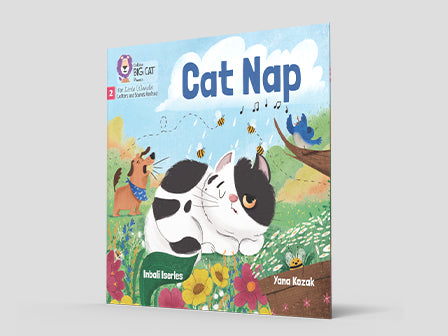 Books for Little Wandle Letters and Sounds Revised | Shop Big Cat Books ...