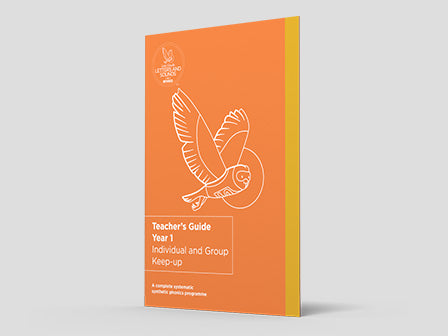 Little Wandle Letters and Sounds Teaching Resources | Big Cat Phonics ...