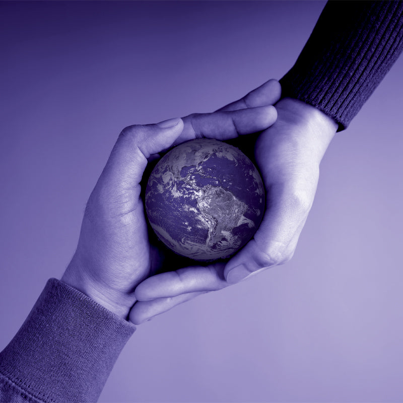 Spark Something for AQA GCSE English – Collins