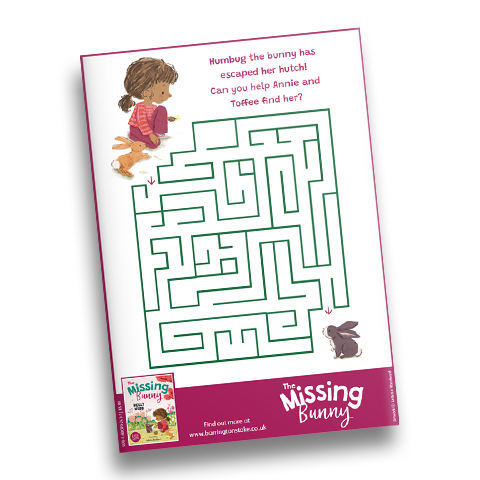 The Missing Bunny (Little Gems) by Holly Webb – Collins