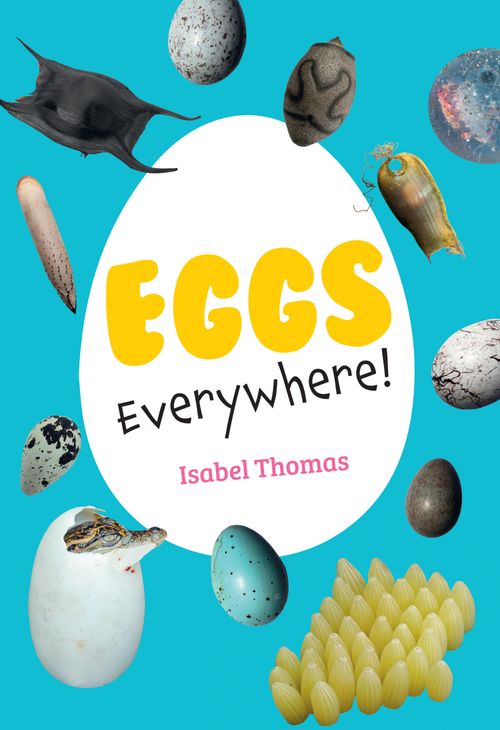 Eggs Everywhere!: Fluency 6 by Isabel Thomas – Collins