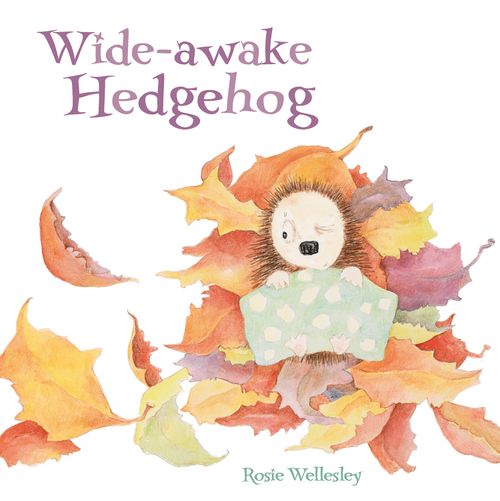 Wide-awake Hedgehog by Rosie Wellesley – Collins