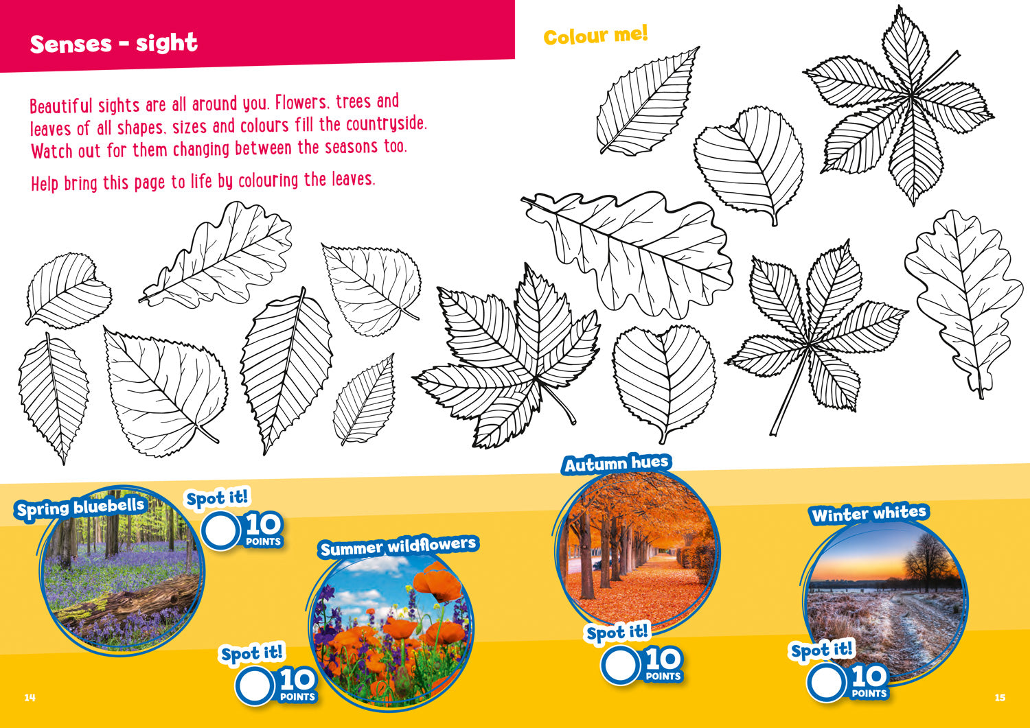 i-SPY In the Countryside Activity Book by – Collins