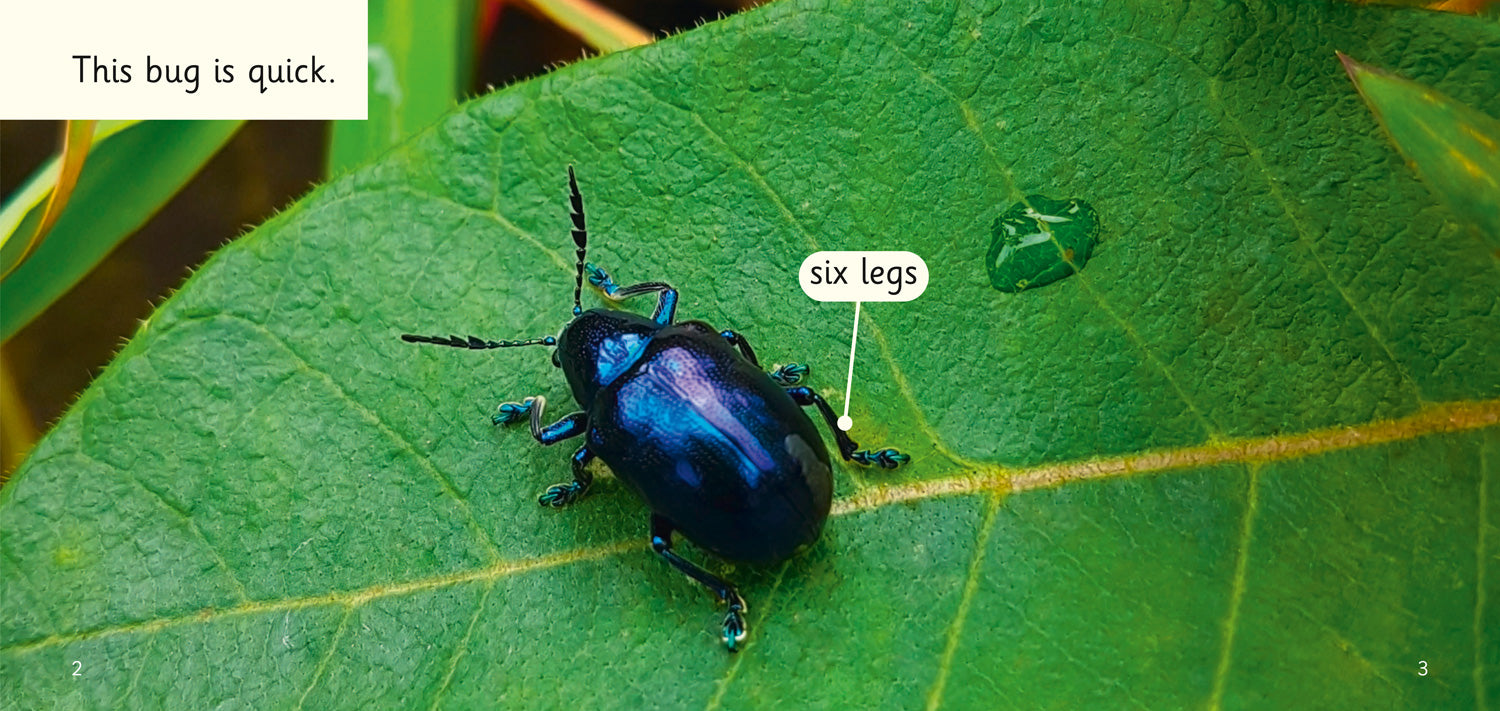 Buzz, Hop, Zip!: Band 02A/Red A by Samantha Montgomerie – Collins