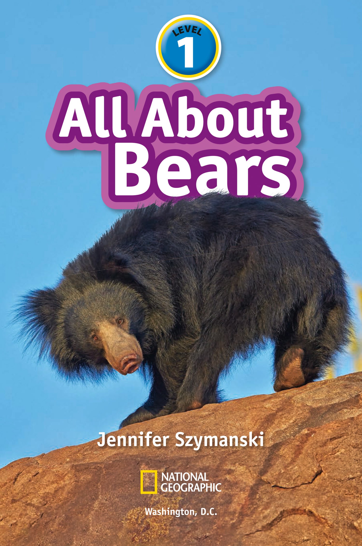 All About Bears: Level 1 by Jennifer Szymanski – Collins