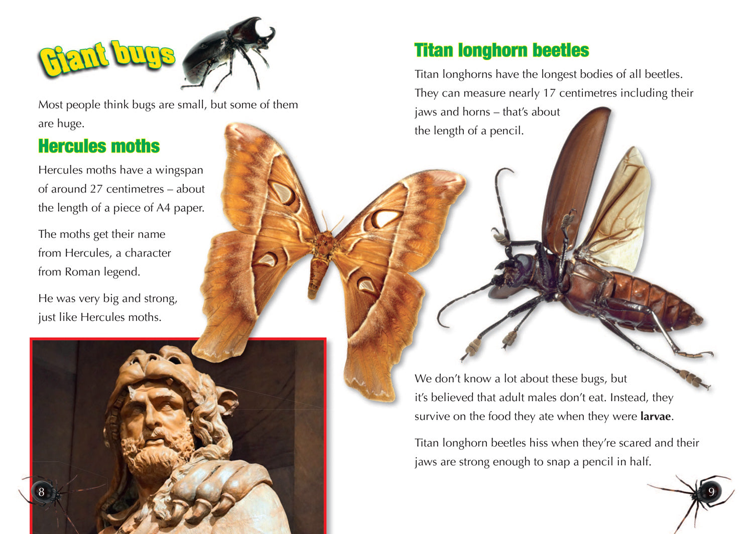 Zombie Wasps: Band 13/Topaz (Collins Big Cat) by Mike Gould