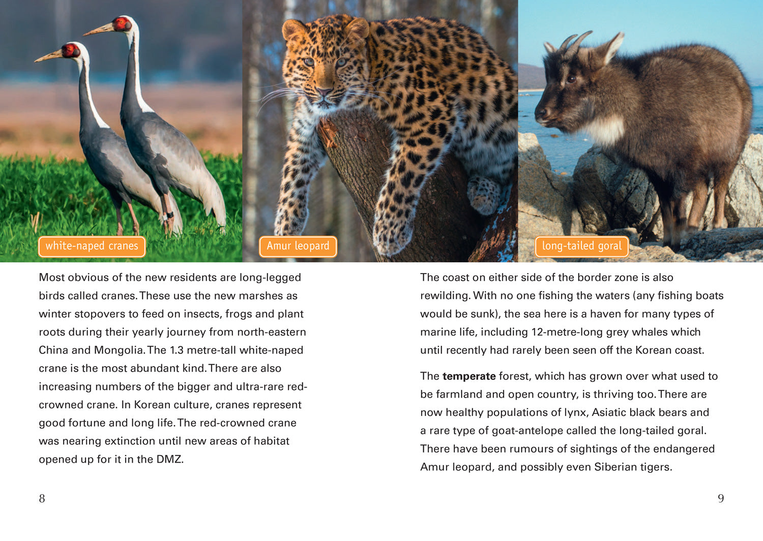 Nature Fights Back: Band 18/Pearl by Simon Chapman – Collins