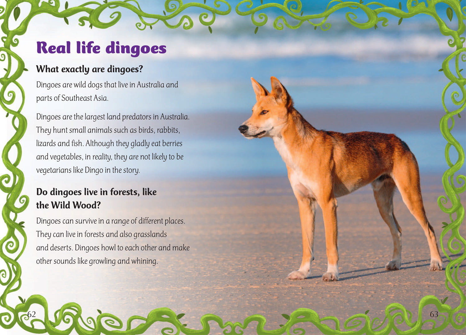 Diary of a (Big Bad) Good Dingo by Inbali Iserles – Collins