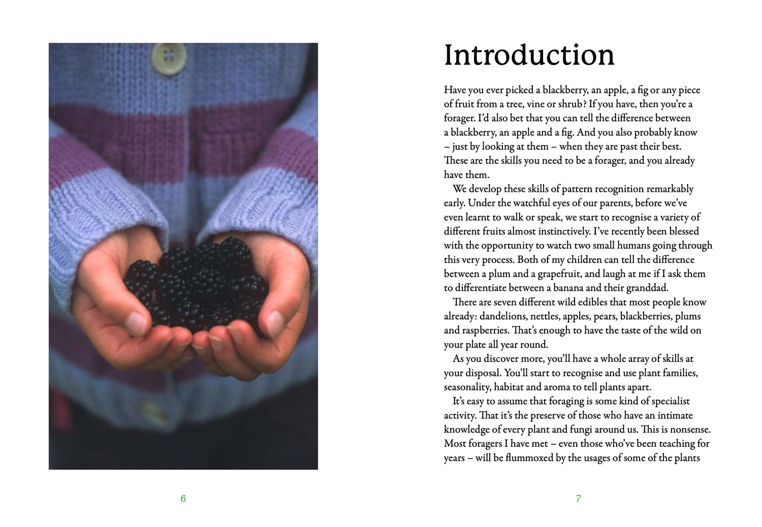 Pokémon Beginners Guide by Pokémon – Collins