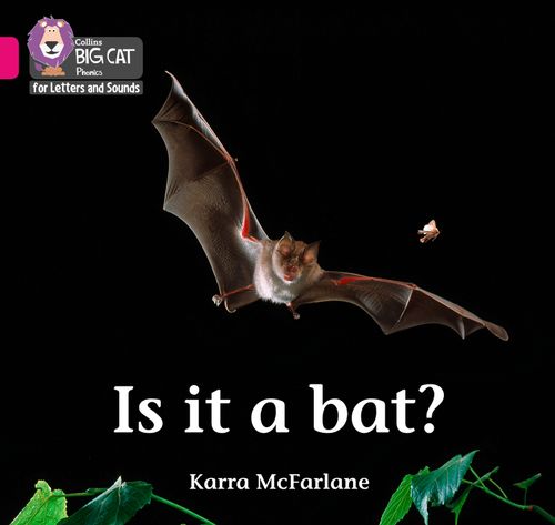 Collins Big Cat Phonics for Letters and Sounds - Is it a Bat?: Band 01